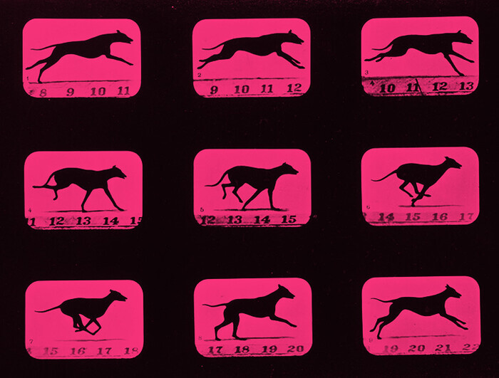 Everything Everywhere All at Once All of the Time | Bruce Robbins