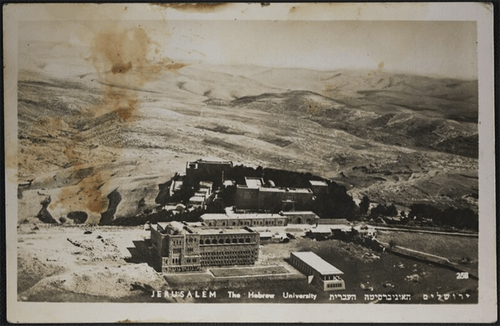 Toward an Intellectual History of Genocide in Gaza | Esmat Elhalaby