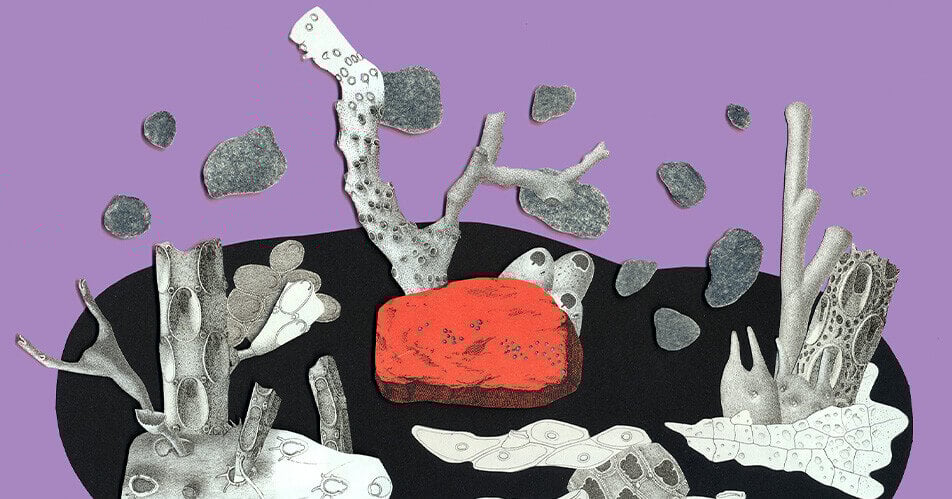 The Fear and the Fix | Jason W. Moore