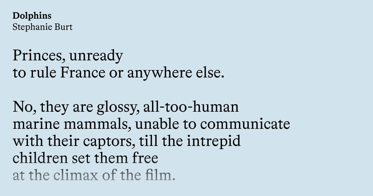 Dolphins | Stephanie Burt